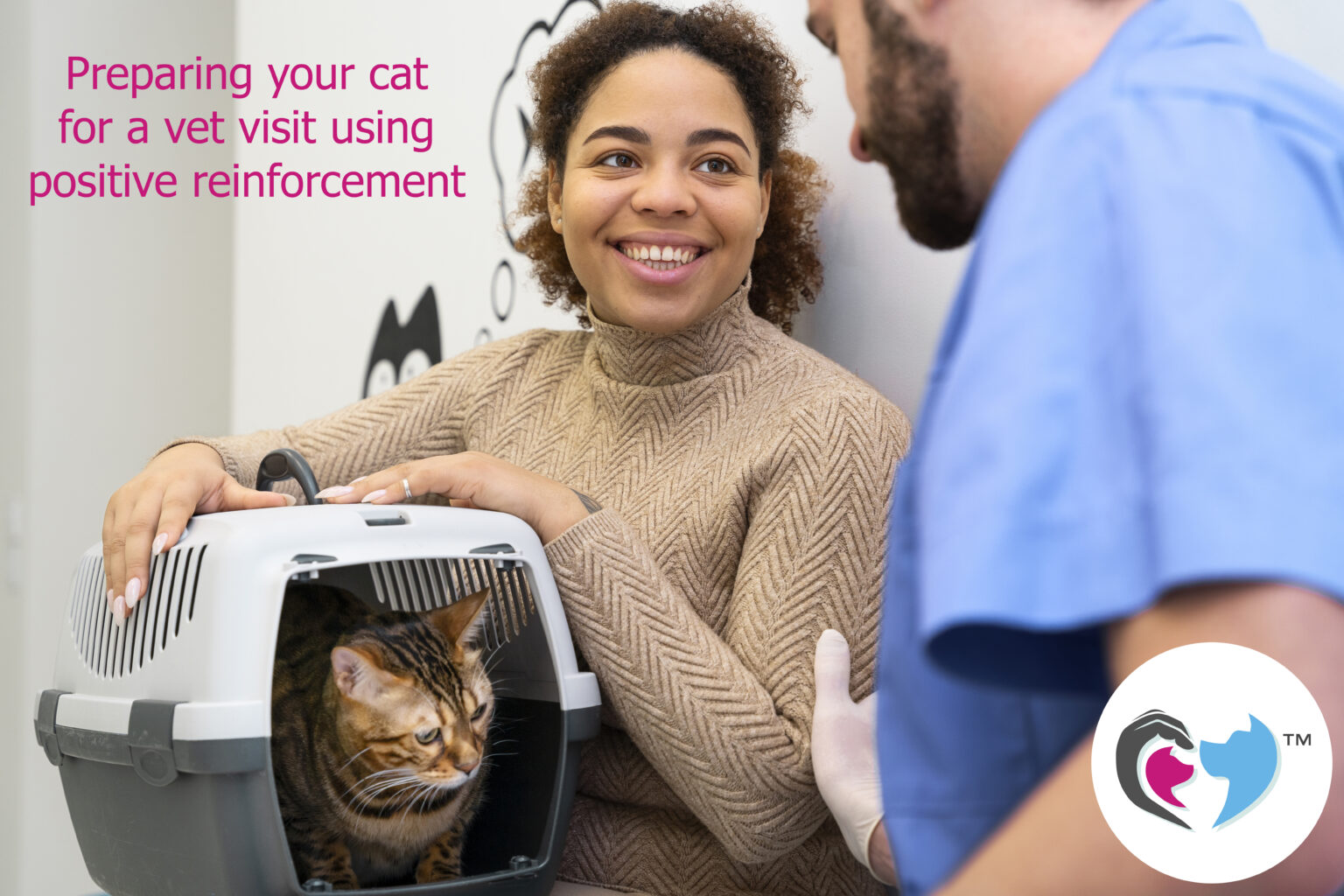 Preparing Your Cat for a Vet Visit Using Positive Reinforcement - COAPE