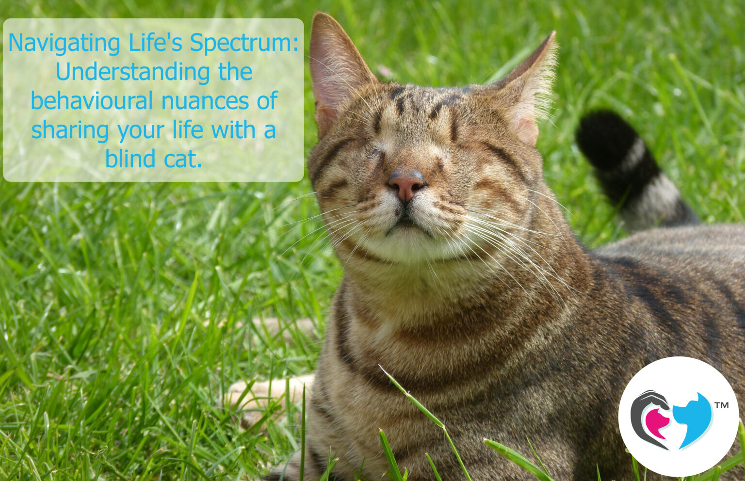 Navigating Life's Spectrum: Understanding the behavioural nuances of ...