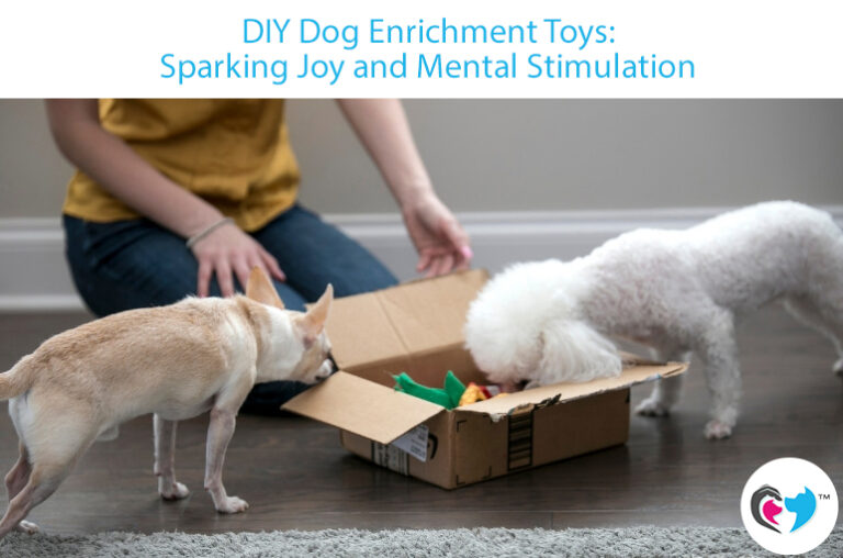 DIY Dog Enrichment Toys: Sparking Joy and Mental Stimulation - COAPE