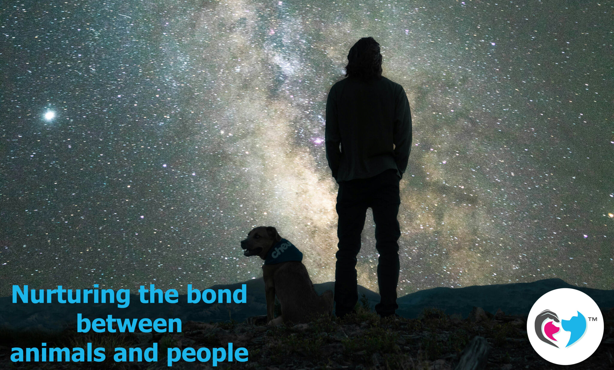 Nurturing the bond between animals and people - COAPE