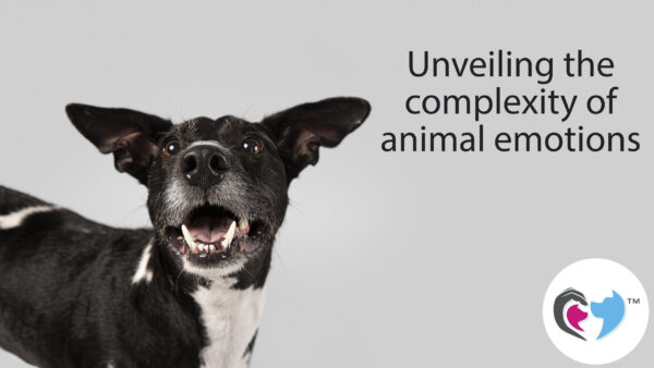 Unveiling the complexity of animal emotions - COAPE