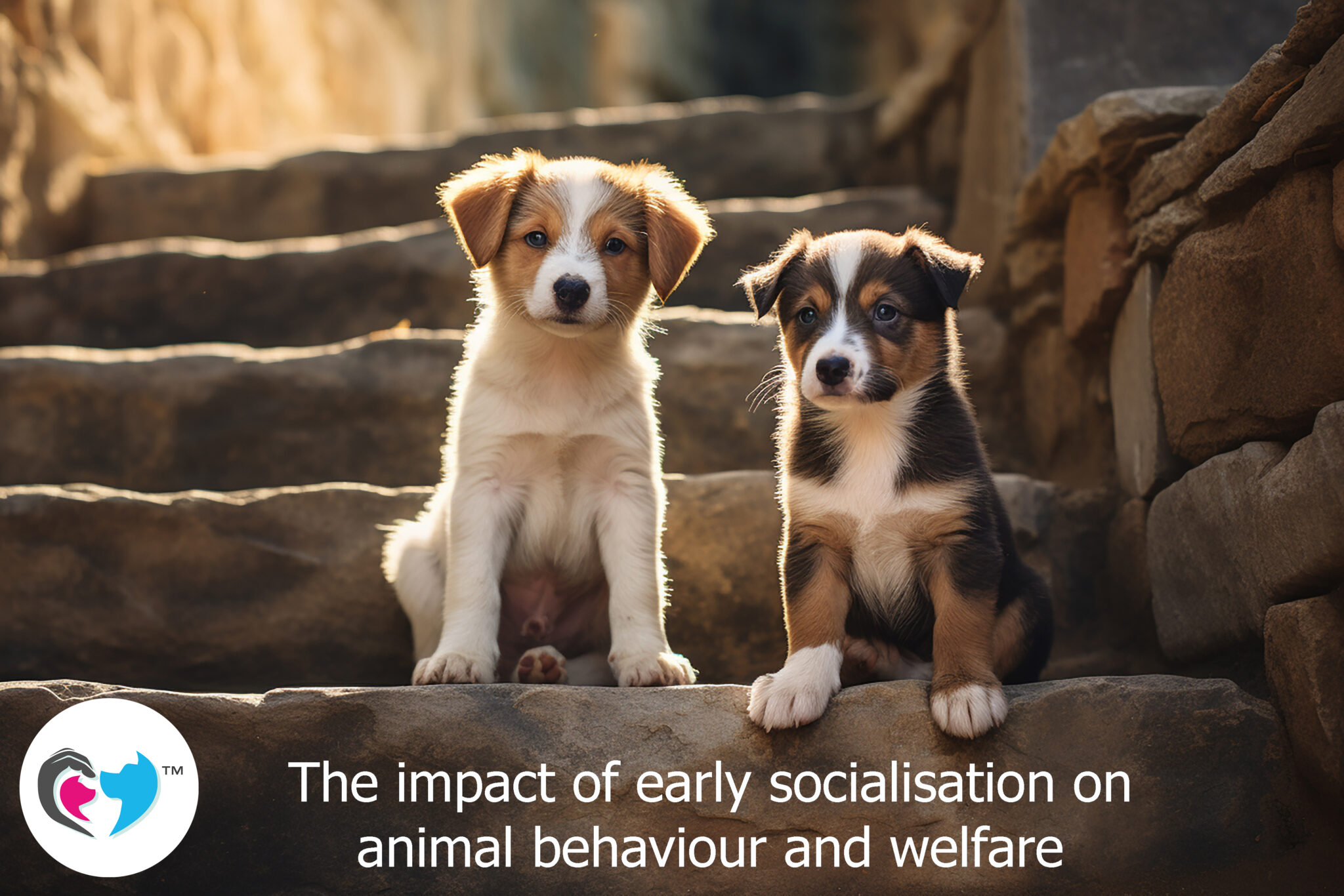 The impact of early socialisation on animal behaviour and welfare - COAPE