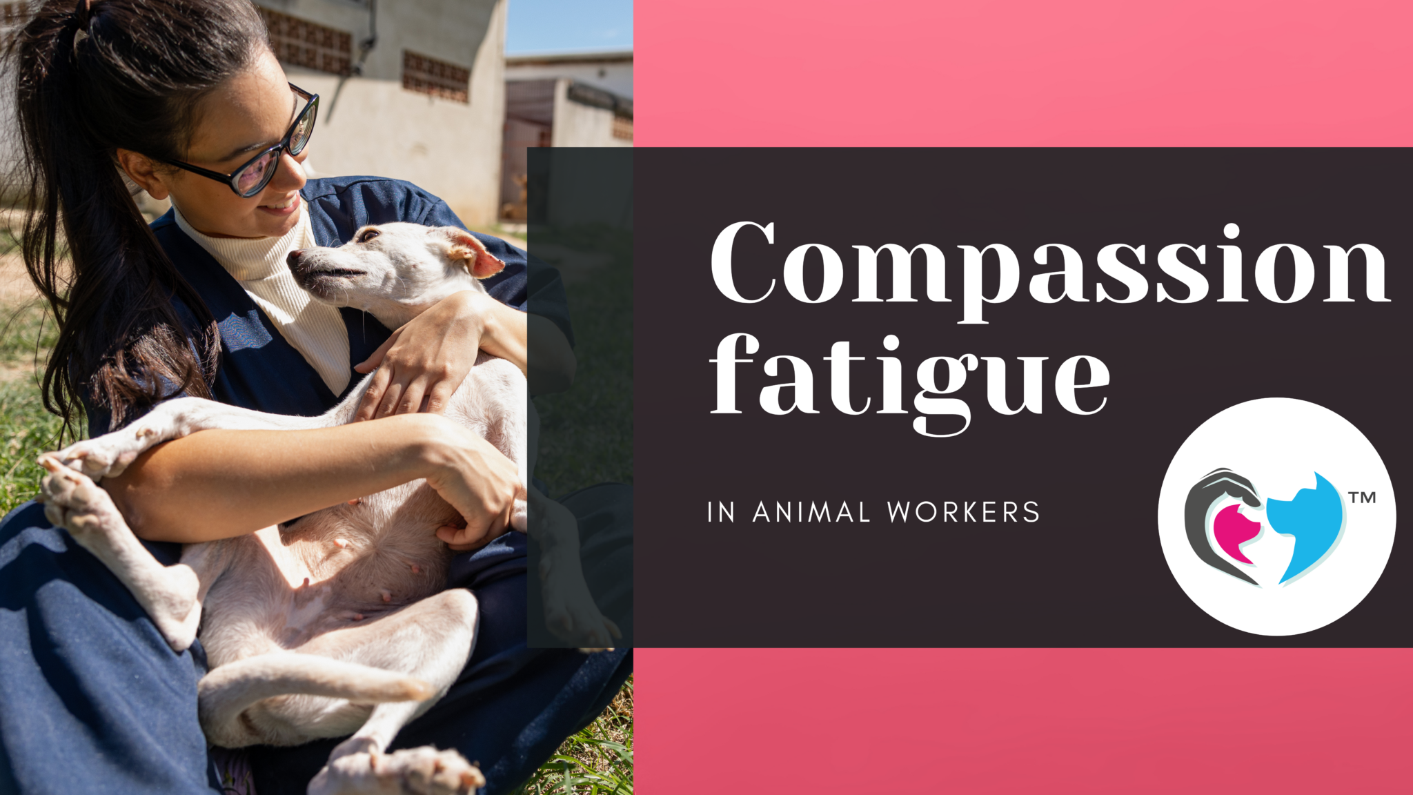 Compassion fatigue in animal workers - COAPE