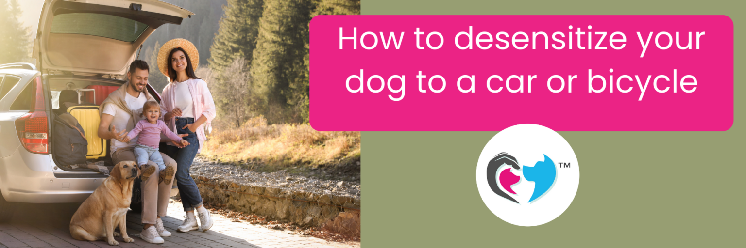 How to desensitize your dog to a car or bicycle - COAPE
