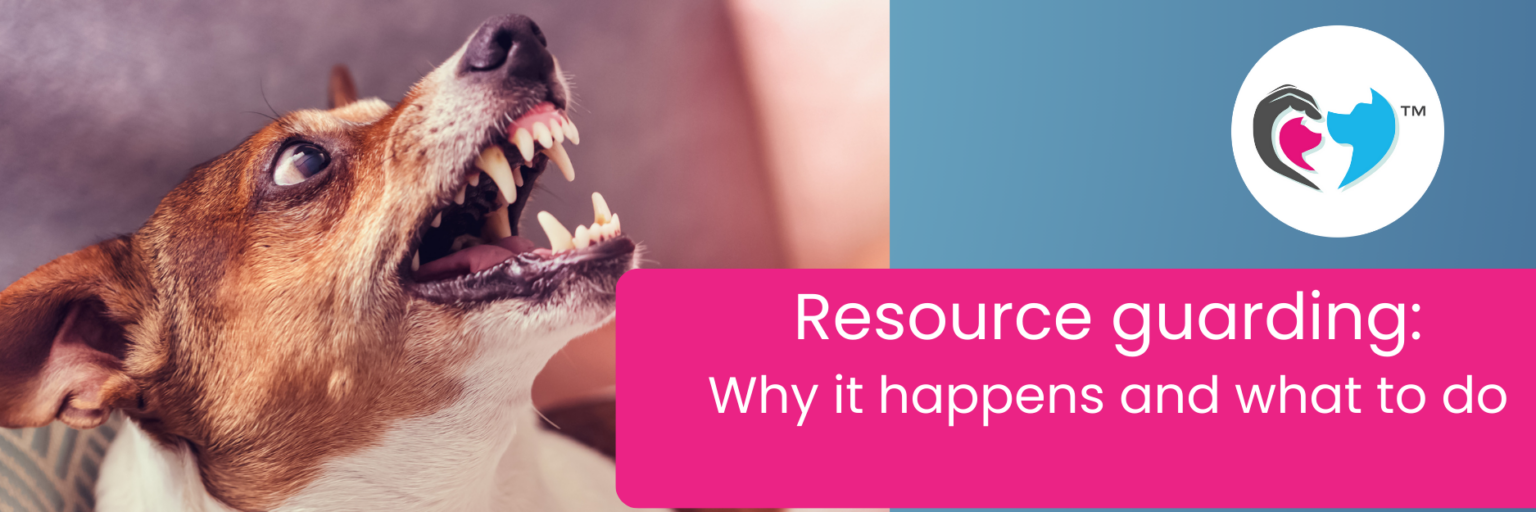Resource guarding: Why it happens and what to do - COAPE